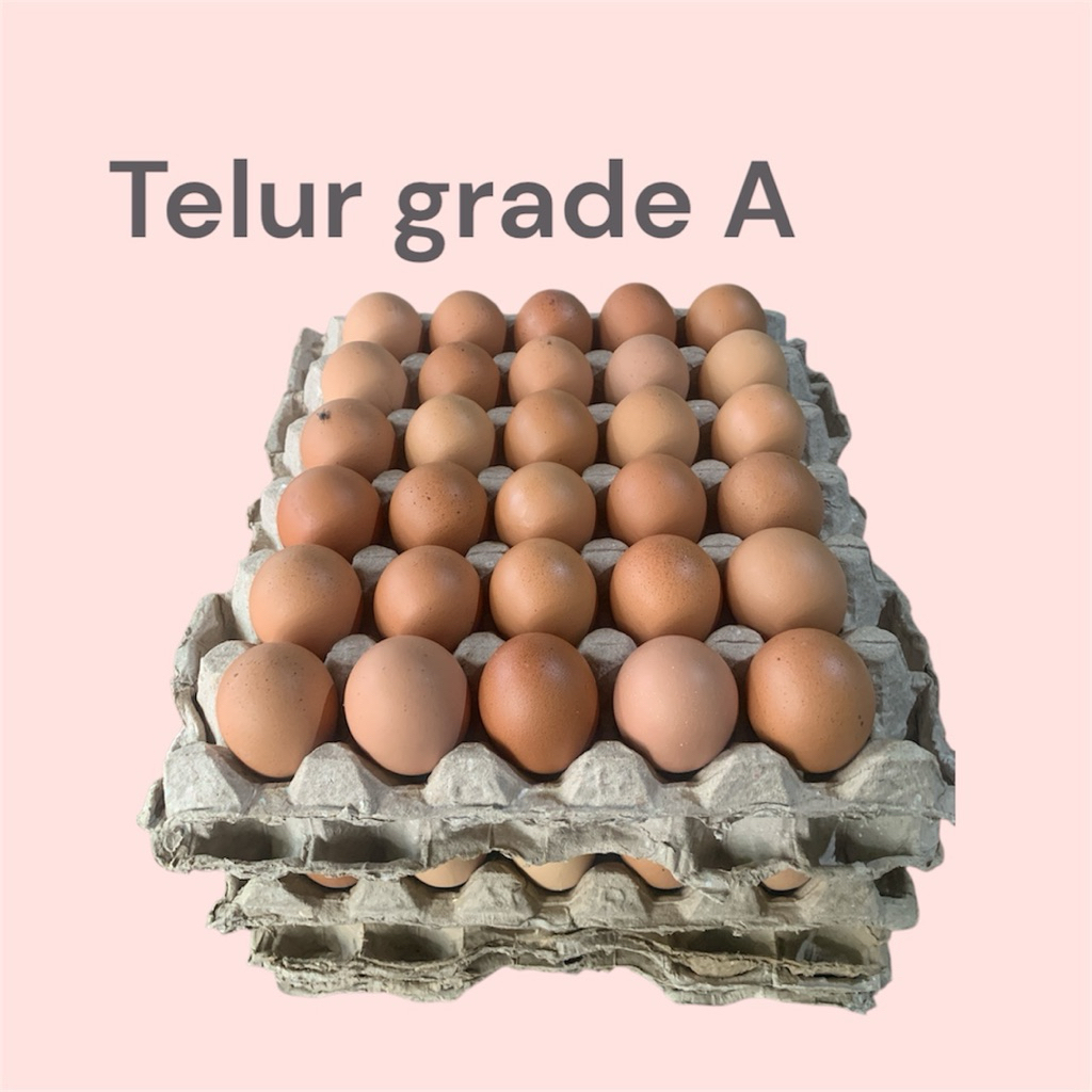 Jual Telur ayam Ras Grade A | Shopee Indonesia