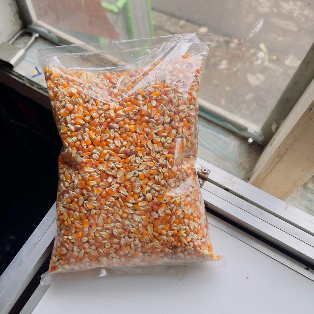 Jual Jagung Kristal Pakan Merpati Nutripal 500g / 1kg | Shopee Indonesia