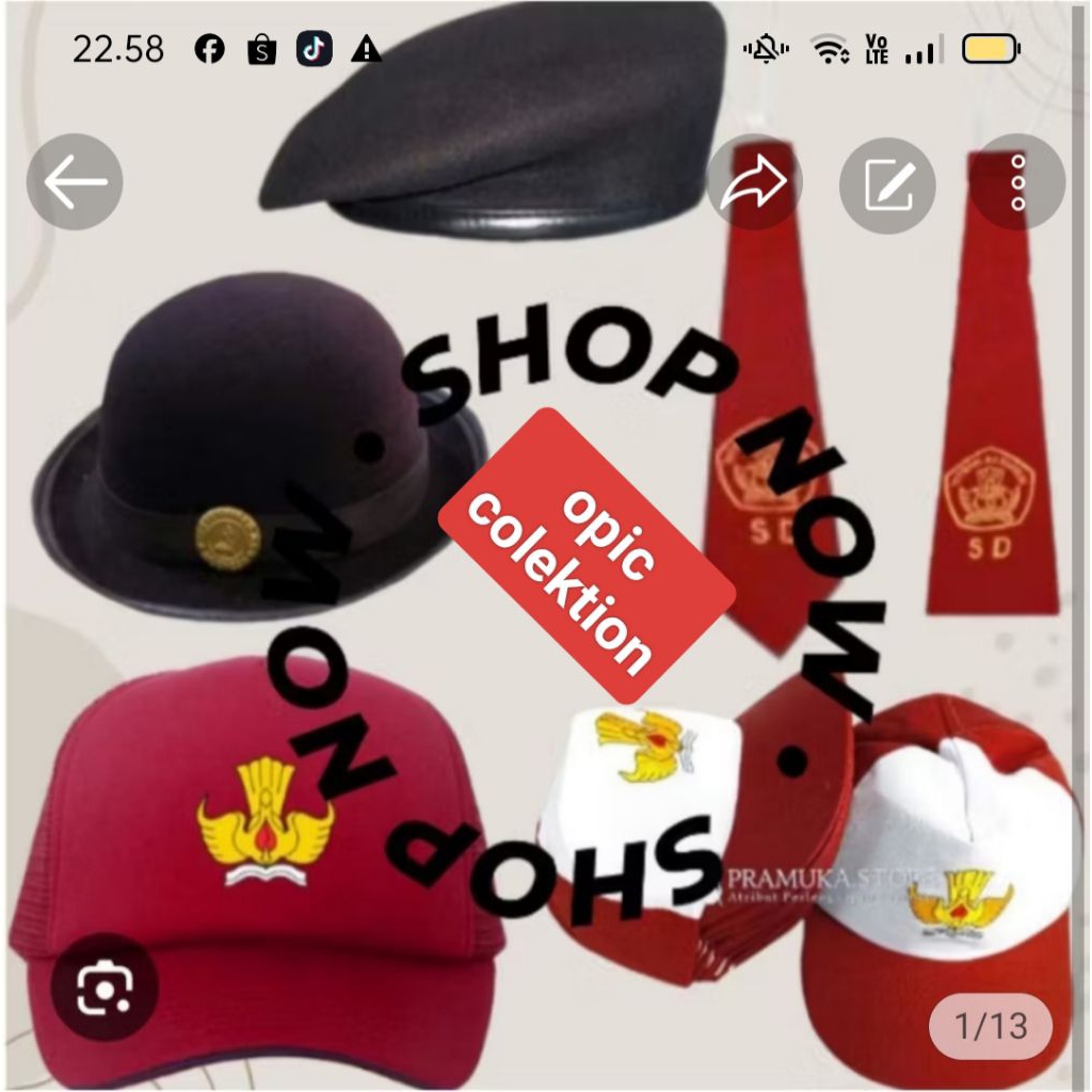 Jual topi SD merah putih topi Pramuka topi baret topi Boni siswi putri ...
