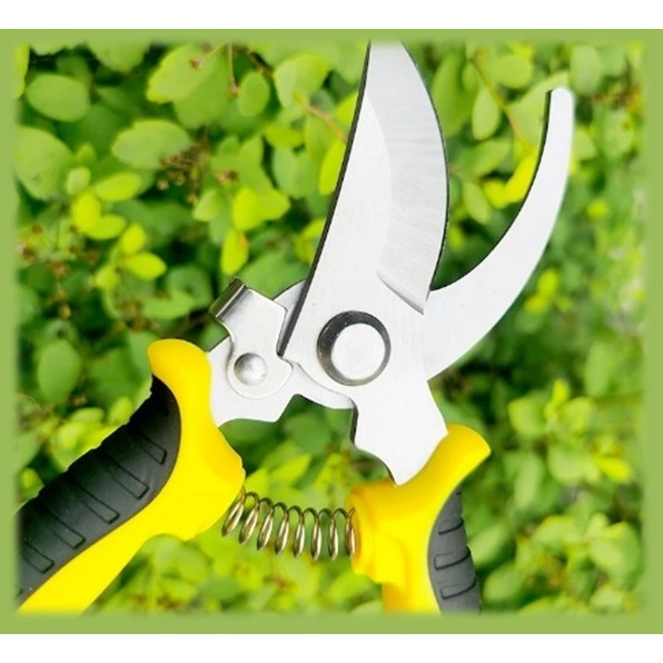 Jual Gunting dahan ranting dan daun untuk berkebun | Shopee Indonesia