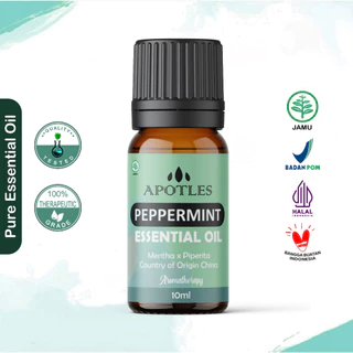 Jual Minyak Peppermint Terlengkap & Harga Terbaru Desember 2025 ...