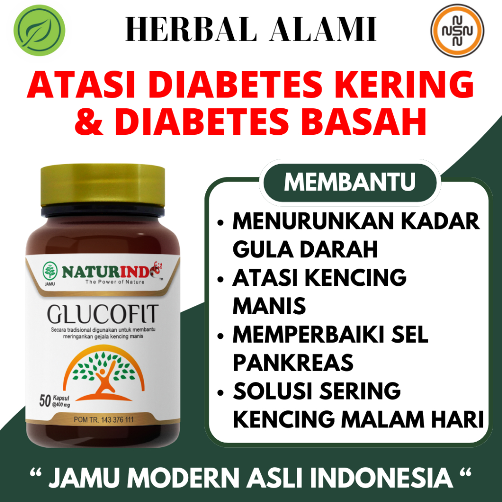 Jual Obat DIiabetes Herbal Gula Darah Tinggi Herbal Jamu Diabet ...