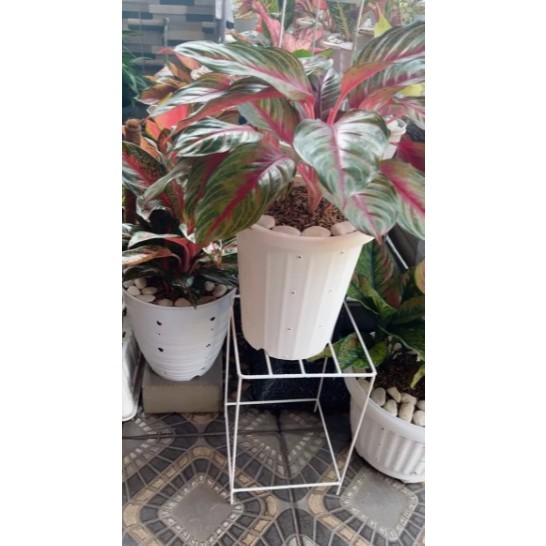 Jual STANDING POT BUNGA / POT KEMBANG / POT TANAMAN | Shopee Indonesia