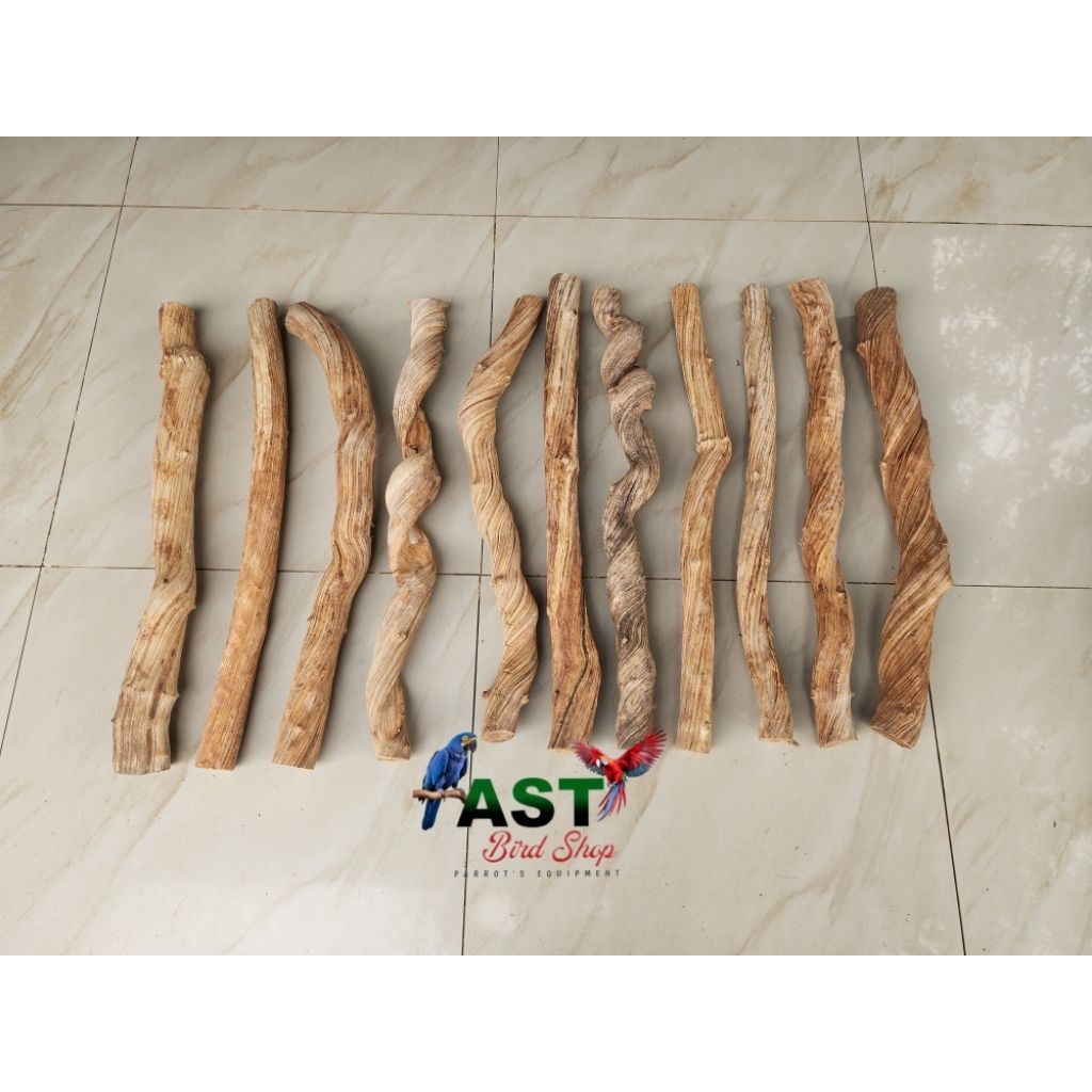 Jual Akar kayu liana panjang 60cm diameter 5-6cm | Shopee Indonesia