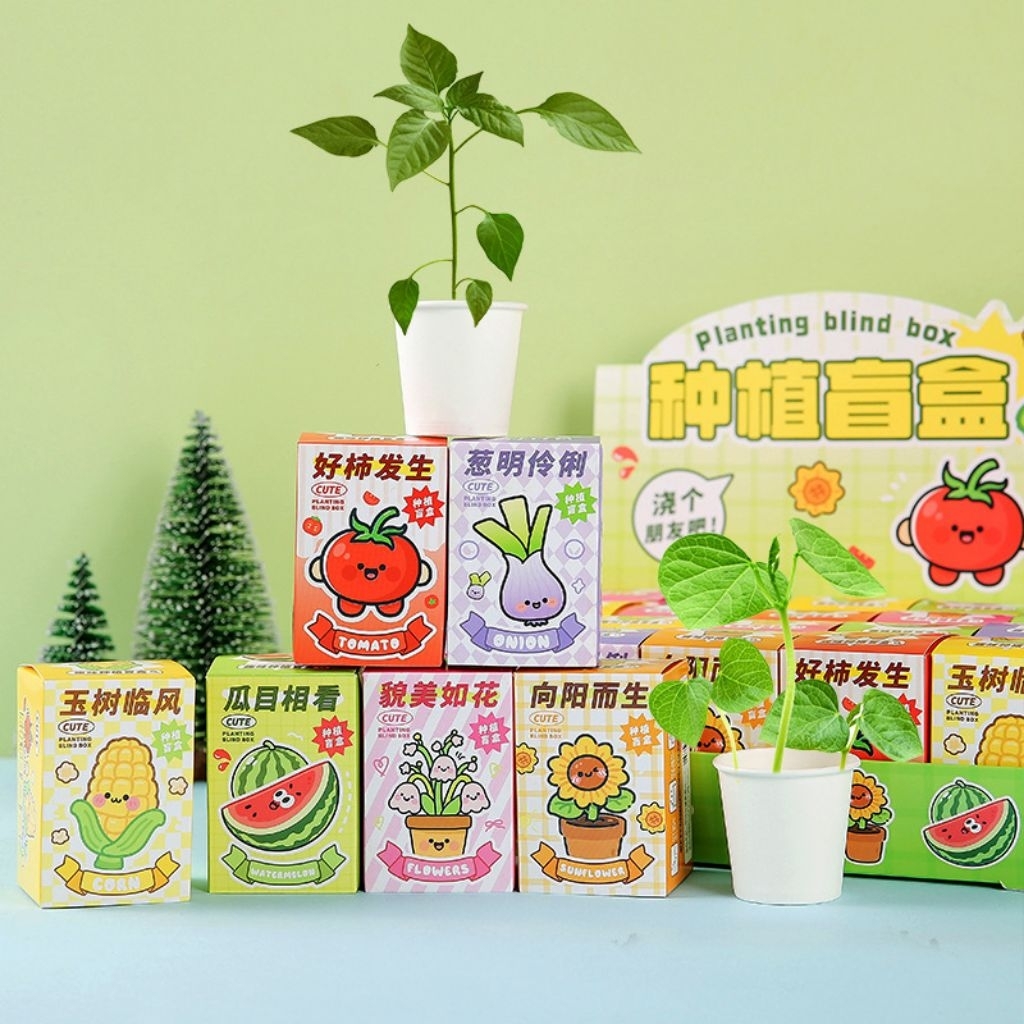 Jual mainan montessori diy blind box mini tanaman menanam buah sayur ...