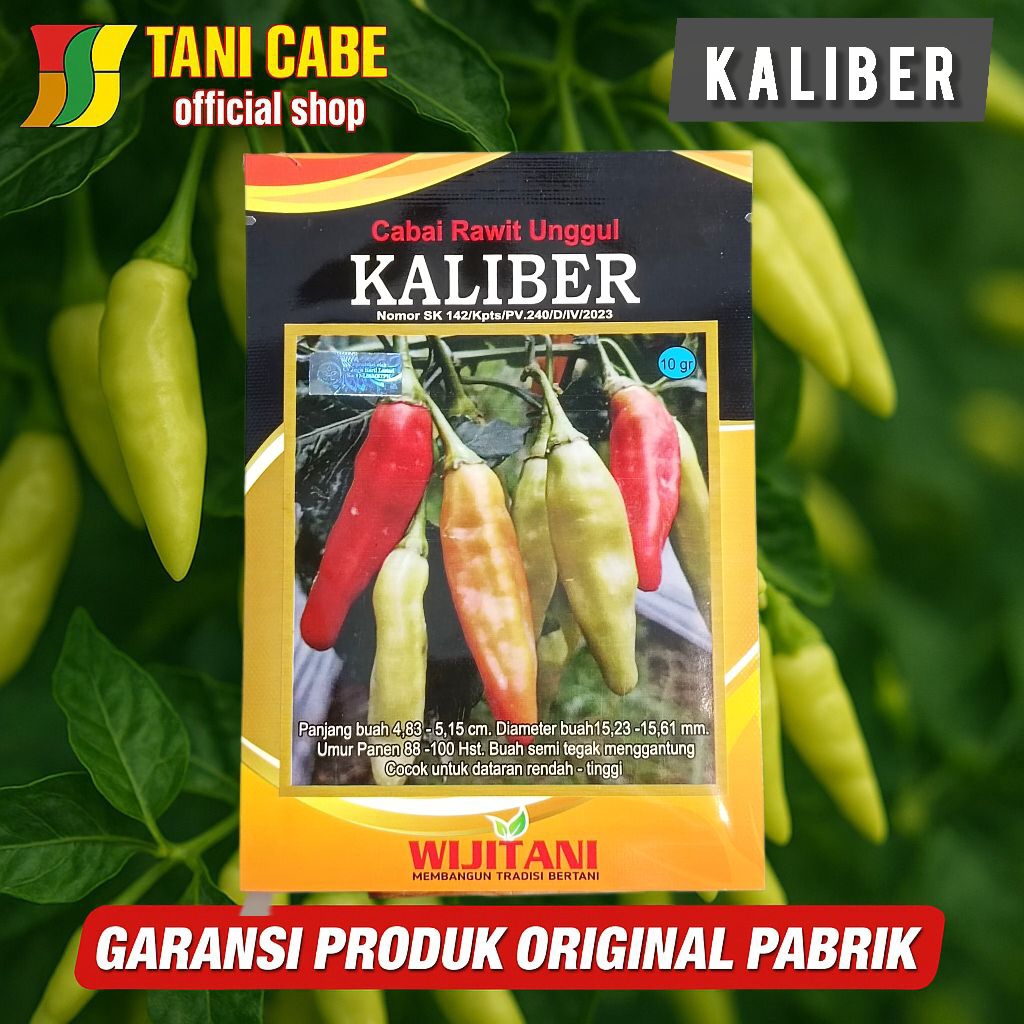Jual KALIBER BENIH CABAI RAWIT -10 GRM(original kemasan pabrik ...