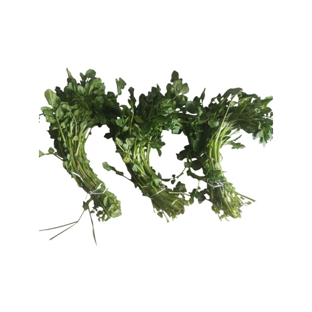 Jual Sayur Paret Segar / Selada Air / Sayur Parit per ikat | Sayur ...