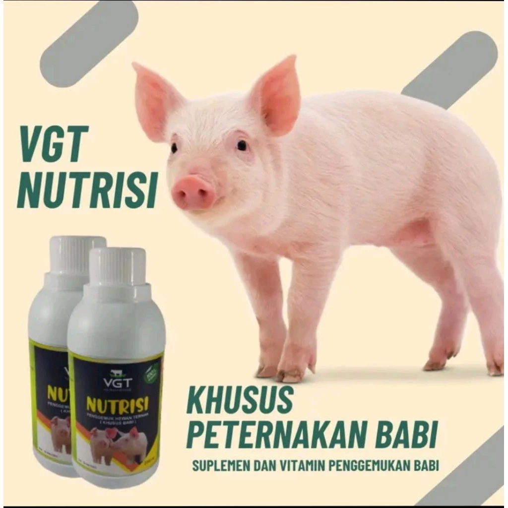 Jual VGT 1 liter Nutrisi Ternak Babi Probiotik Vitamin Organik - Lebih ...