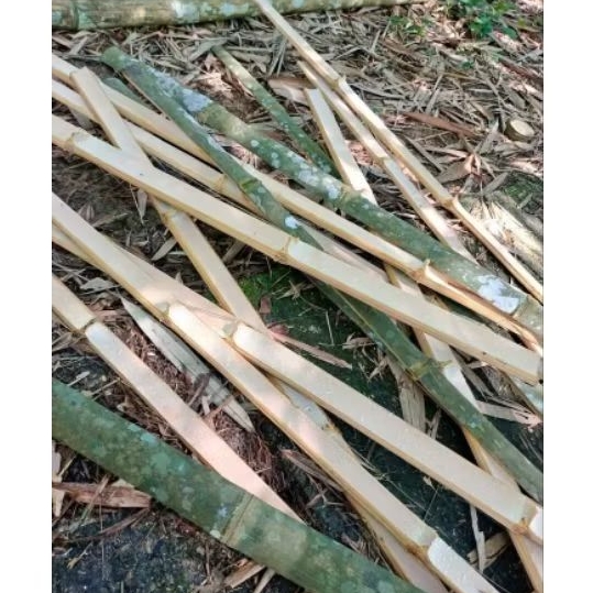 Jual Bilah Bambu Petung 2×200cm Super tebal | Shopee Indonesia