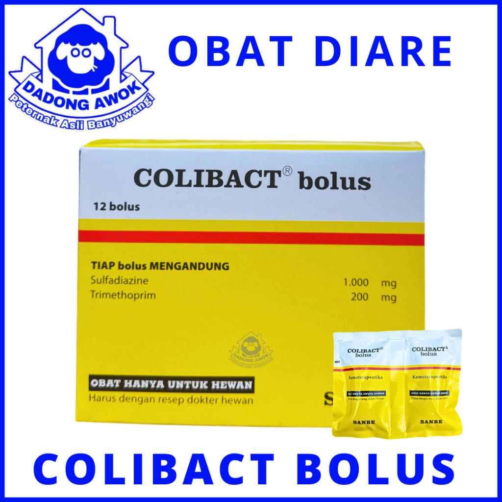Jual COLIBACT BOLUS 1 BOX isi 12 BOLUS OBAT INDUK BARU MELAHIRKAN ...