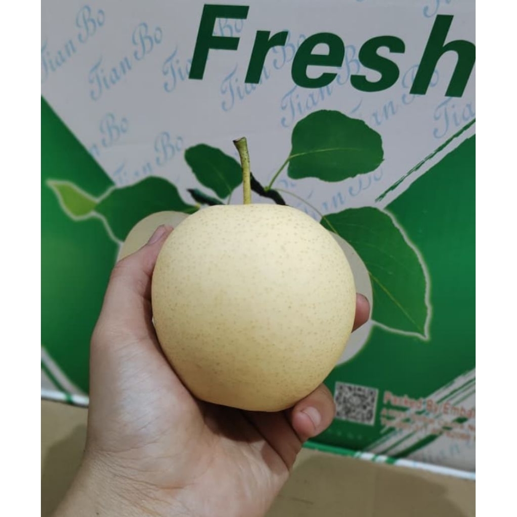 Jual Pear Century 1 kg | Shopee Indonesia