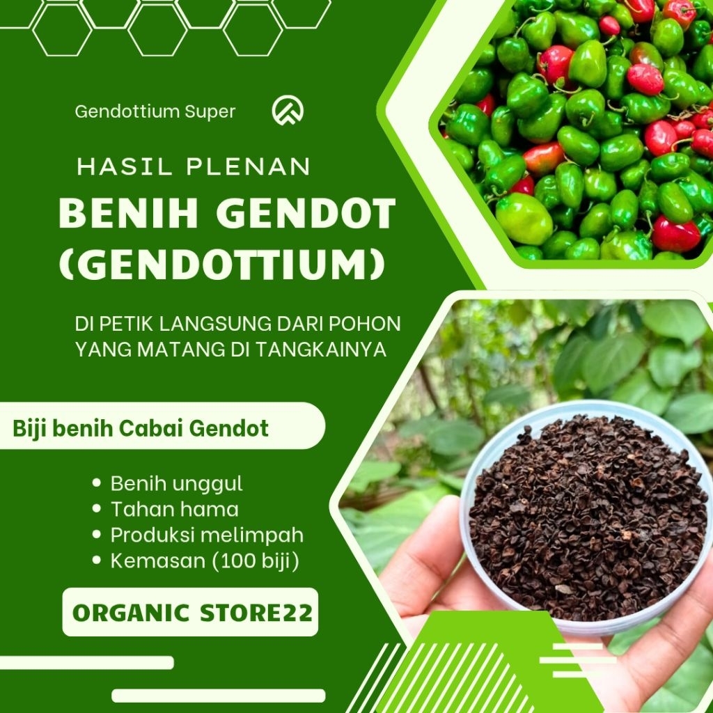 Jual Benih Biji Cabe Gendot (Gendotium) isi 100 butir | Shopee Indonesia