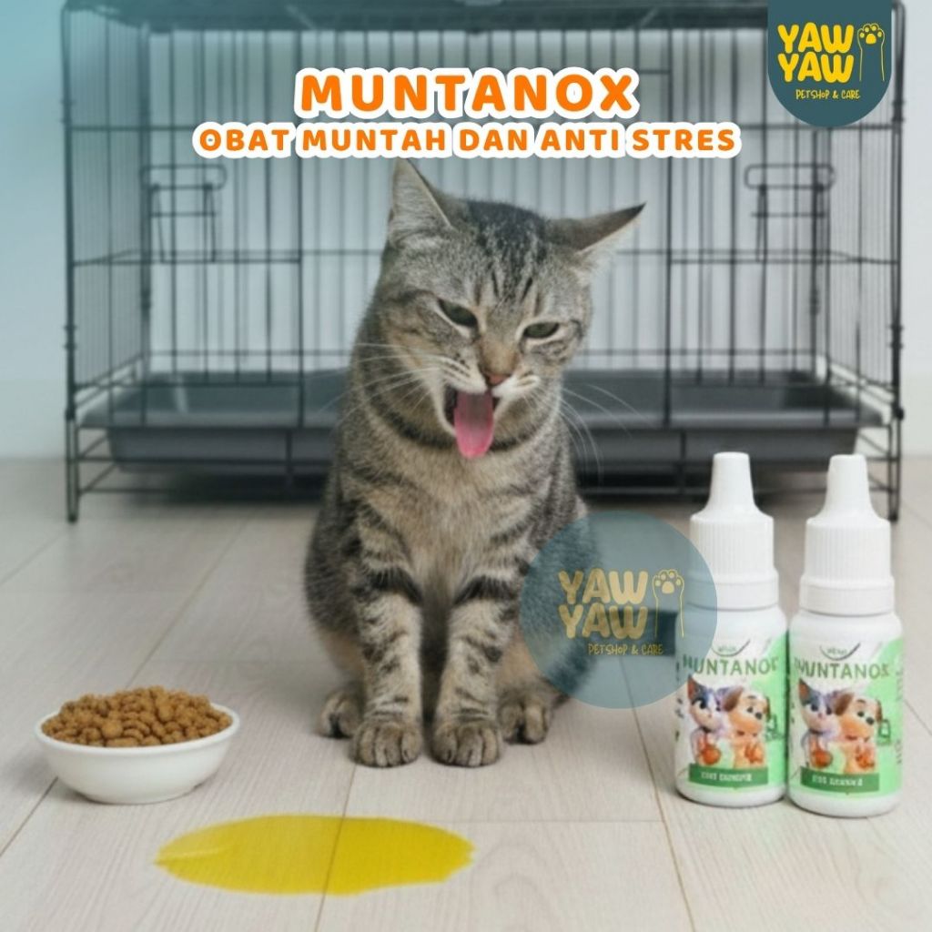 Jual Obat Vitamin Muntah Kucing Venox Muntanox Anti Muntah Infeksi ...