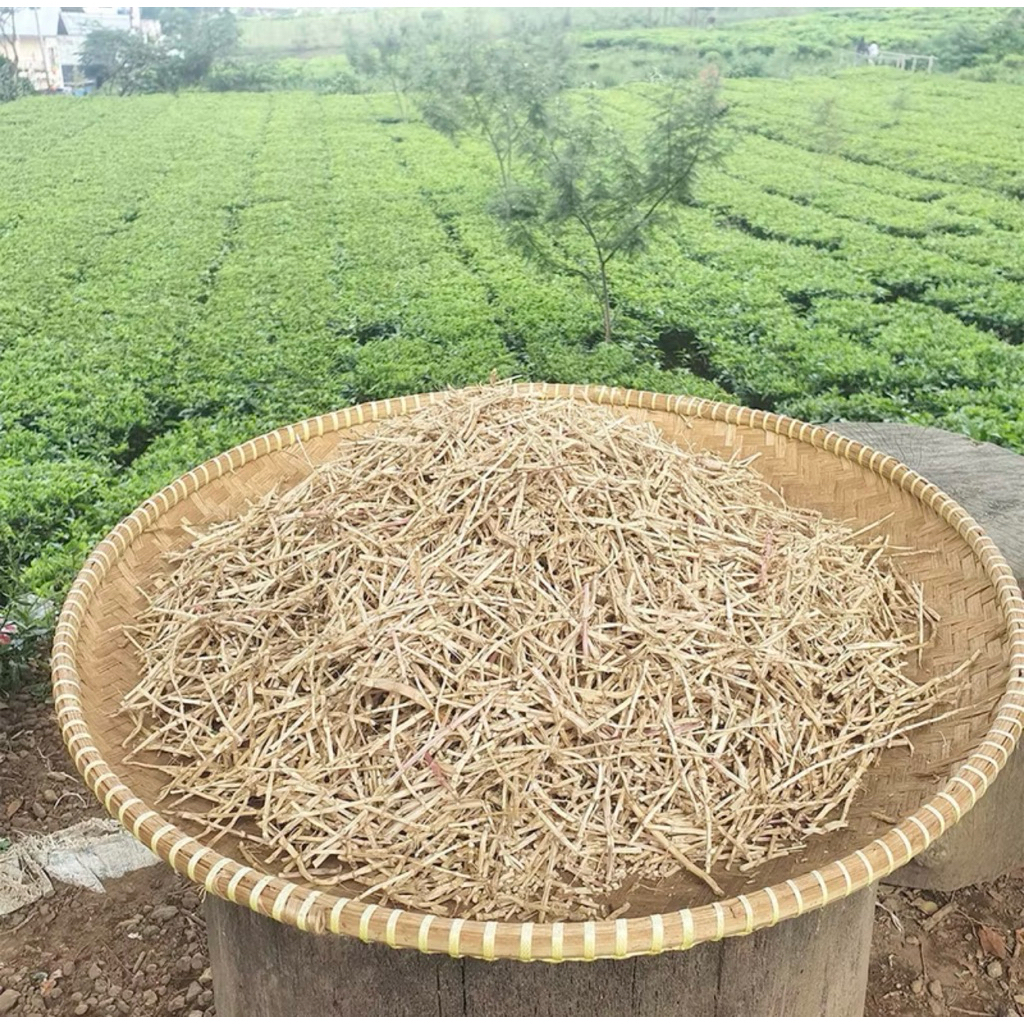 Jual Akar Alang Alang Kering 500gr | Shopee Indonesia