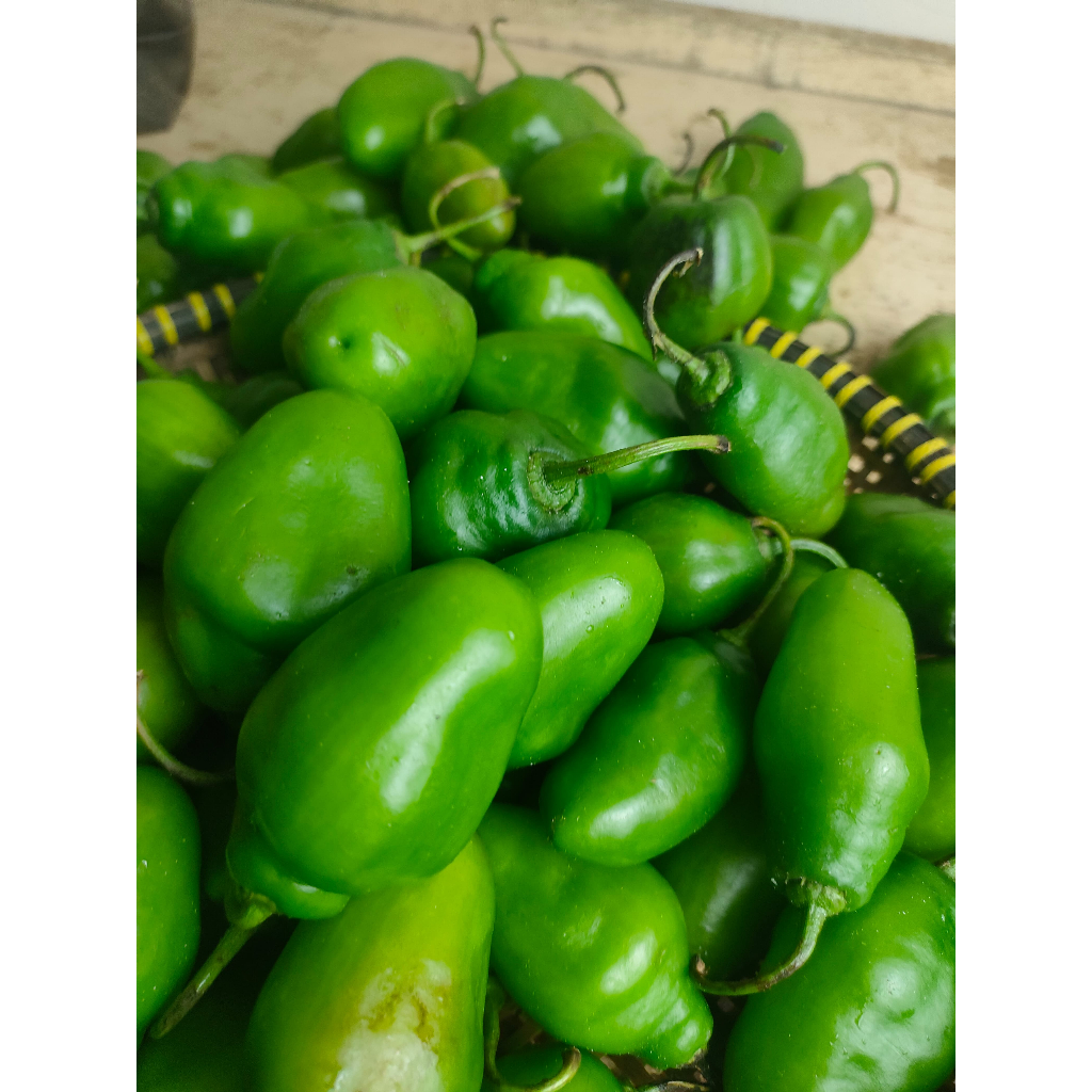 Jual cabe cabai gendot 500 gram asli Ciwidey BISA COD | Shopee Indonesia