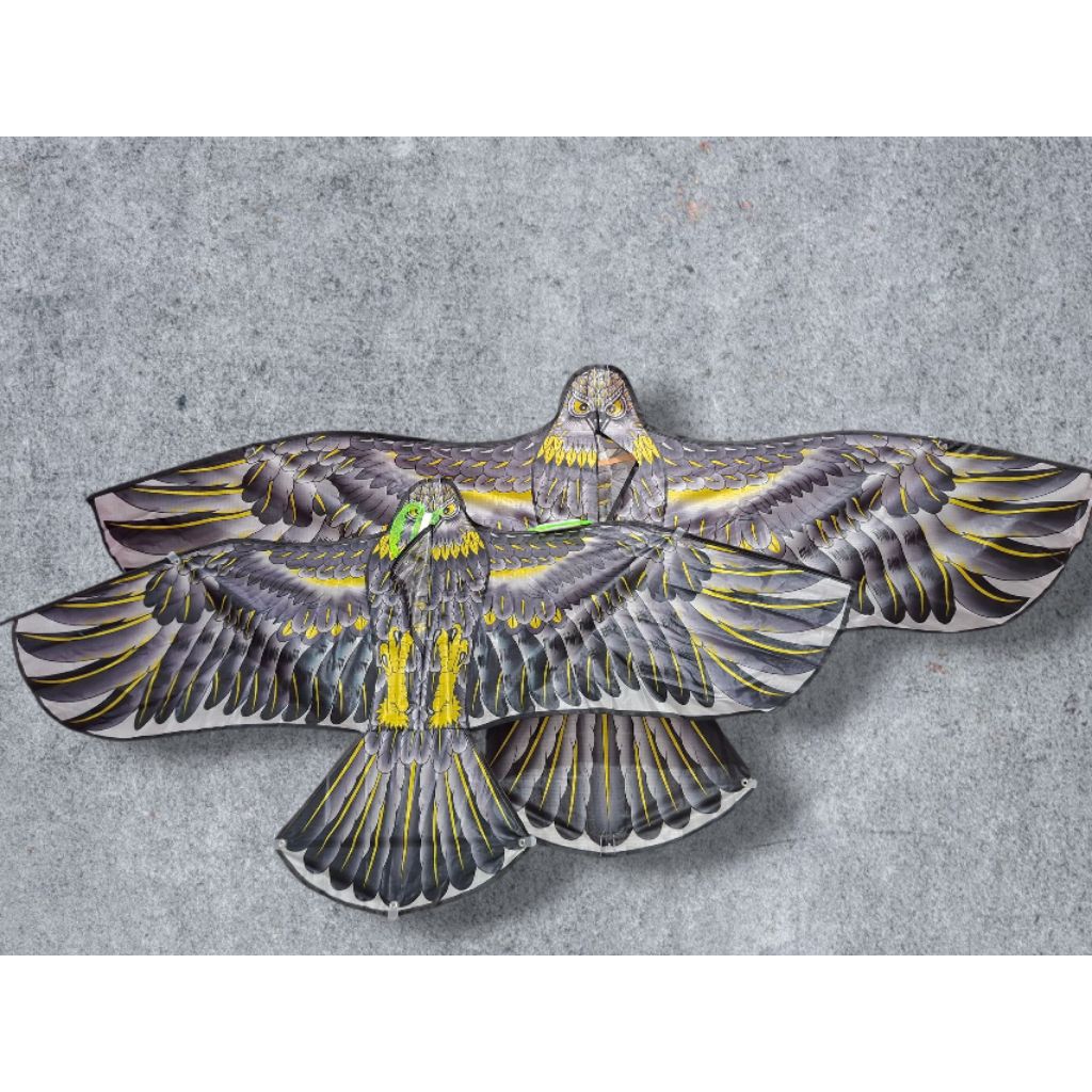 Jual Layang Layang Panjang 1.7M dan 1.2M Bentuk Burung Hantu Burung ...