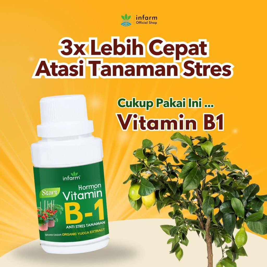 Jual Vitamin B1 Anti Stres Tanaman | Hormon Perangsang Akar & Daun ...