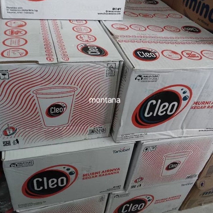Jual CLEO AIR MINUM 220ML GELAS 1 DUS ISI 40PCS | Shopee Indonesia