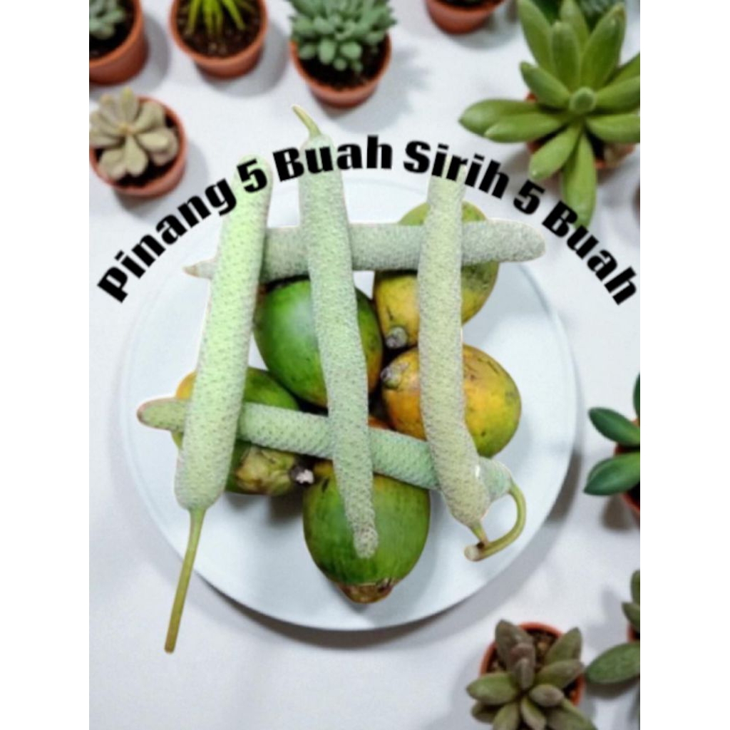 Jual Sirih 5 Buah / Pinang 5 Buah { Beli 2 Paket Bonus Kapur 5 Gram ...