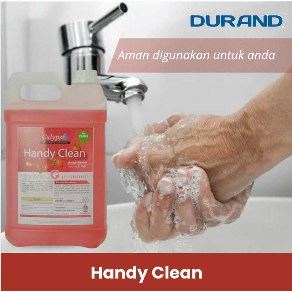 Jual Handwash Cleaner Sabun Cuci Tangan Antiseptik Antibacterial Hand ...