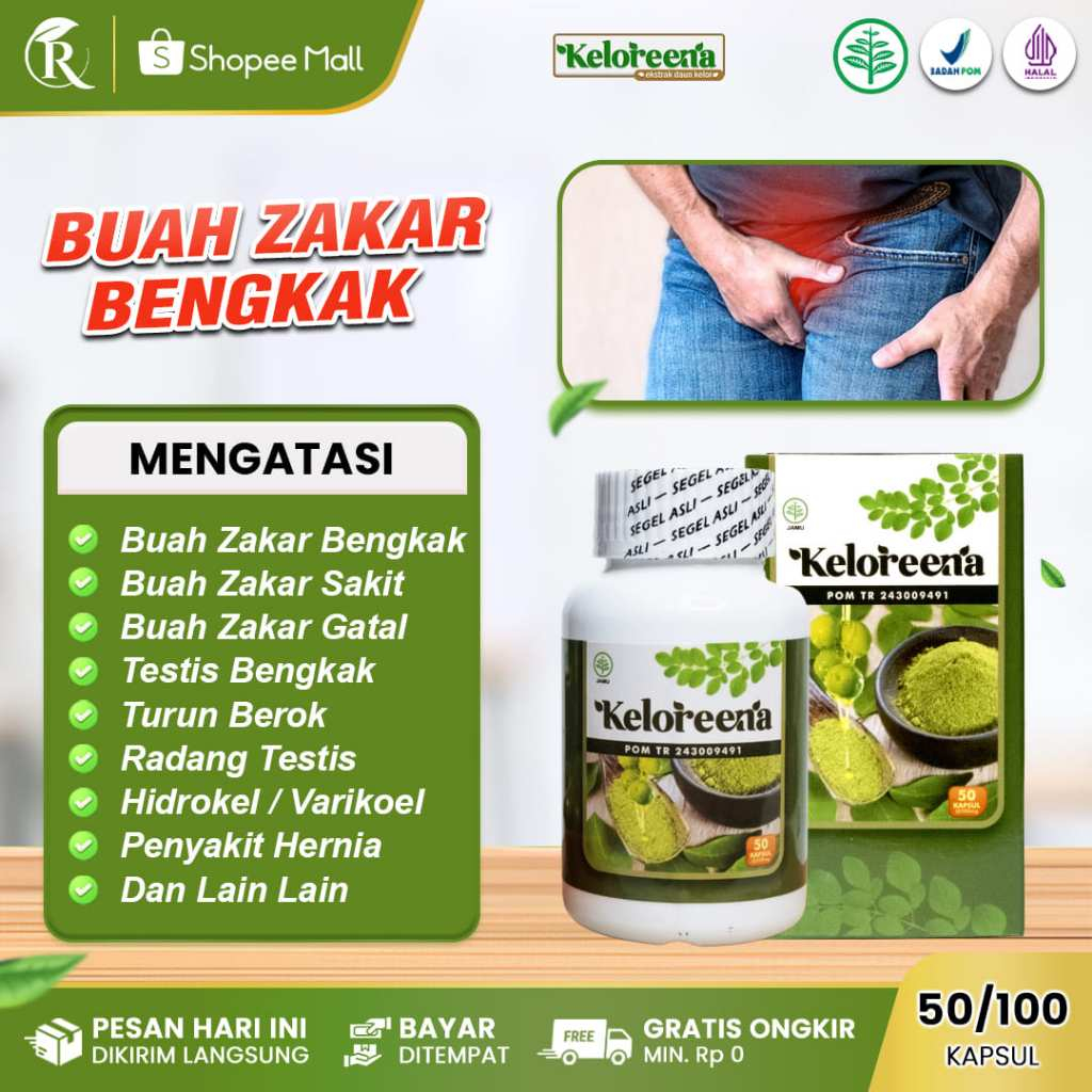 Jual KELOREENA Obat Buah Zakar Bengkak, Nyeri, Gatal, Infeksi, Kendor ...