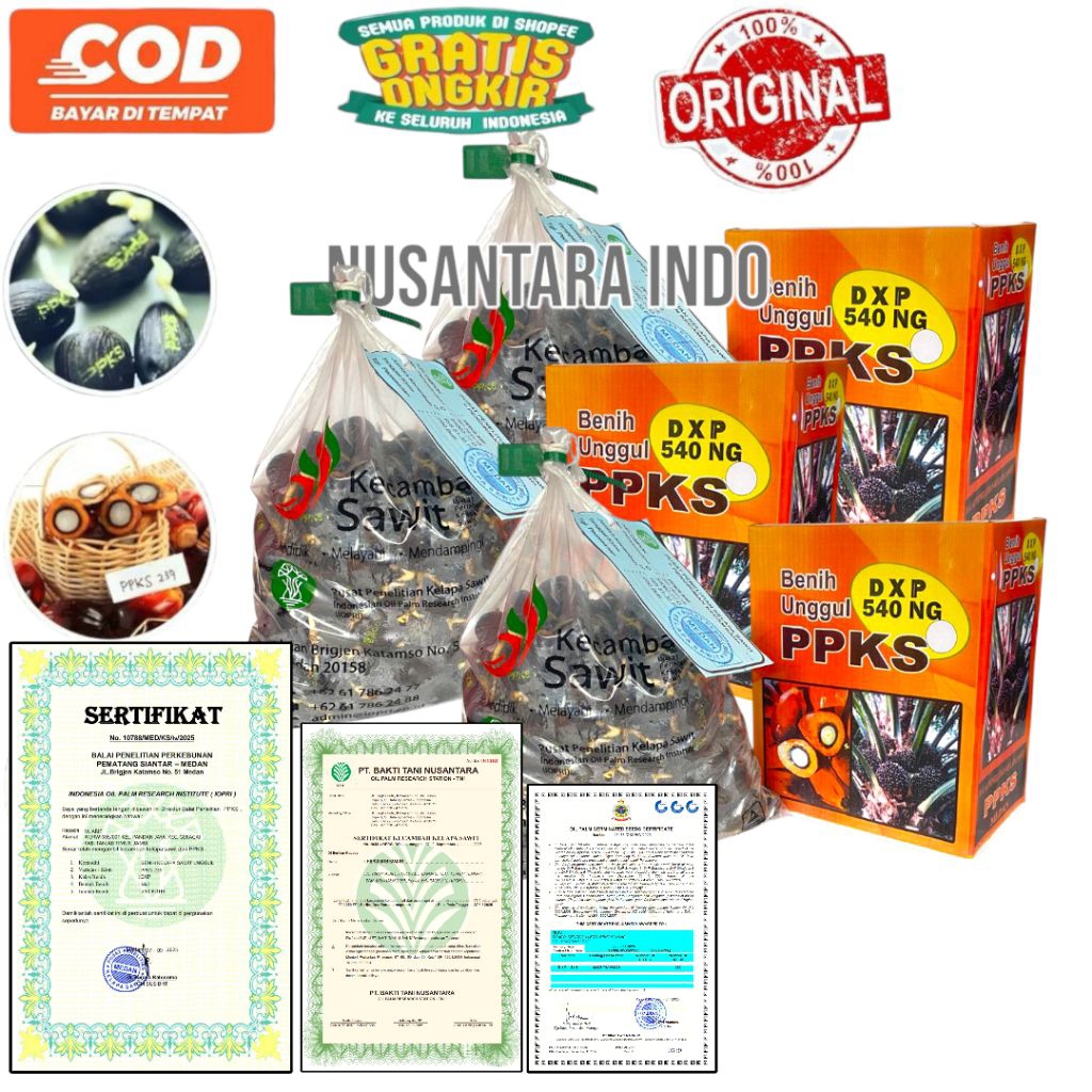 Jual Bibit benih DxP PPKS MEDAN unggul bersertifikat RESMI isi 250 ...