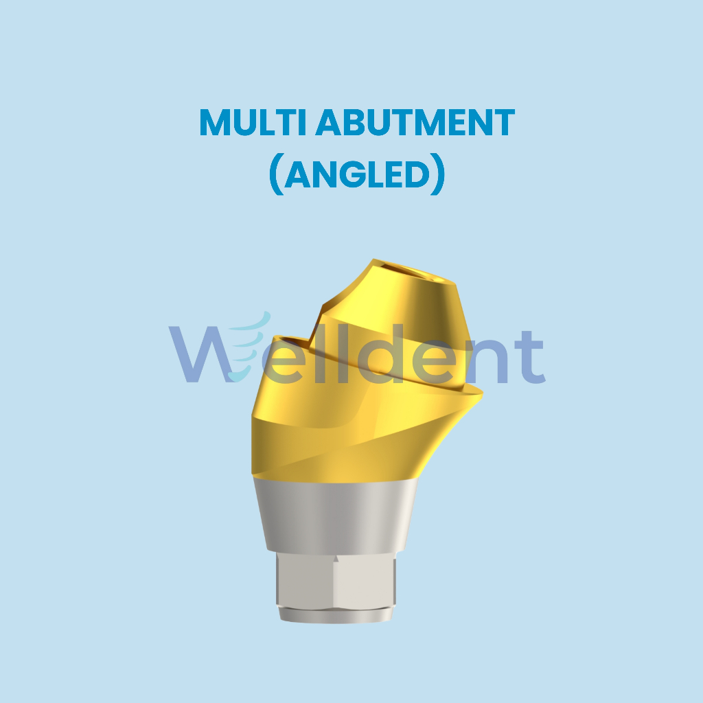Jual [Welldent] Multi Angled Abutment (Dentium & Megagen) | Dental ...