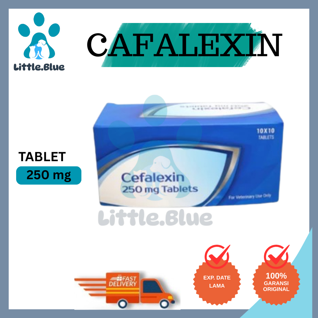 Jual Cefalexin 250mg Antibiotik Kulit 10 Tablet Per Strip | Shopee ...