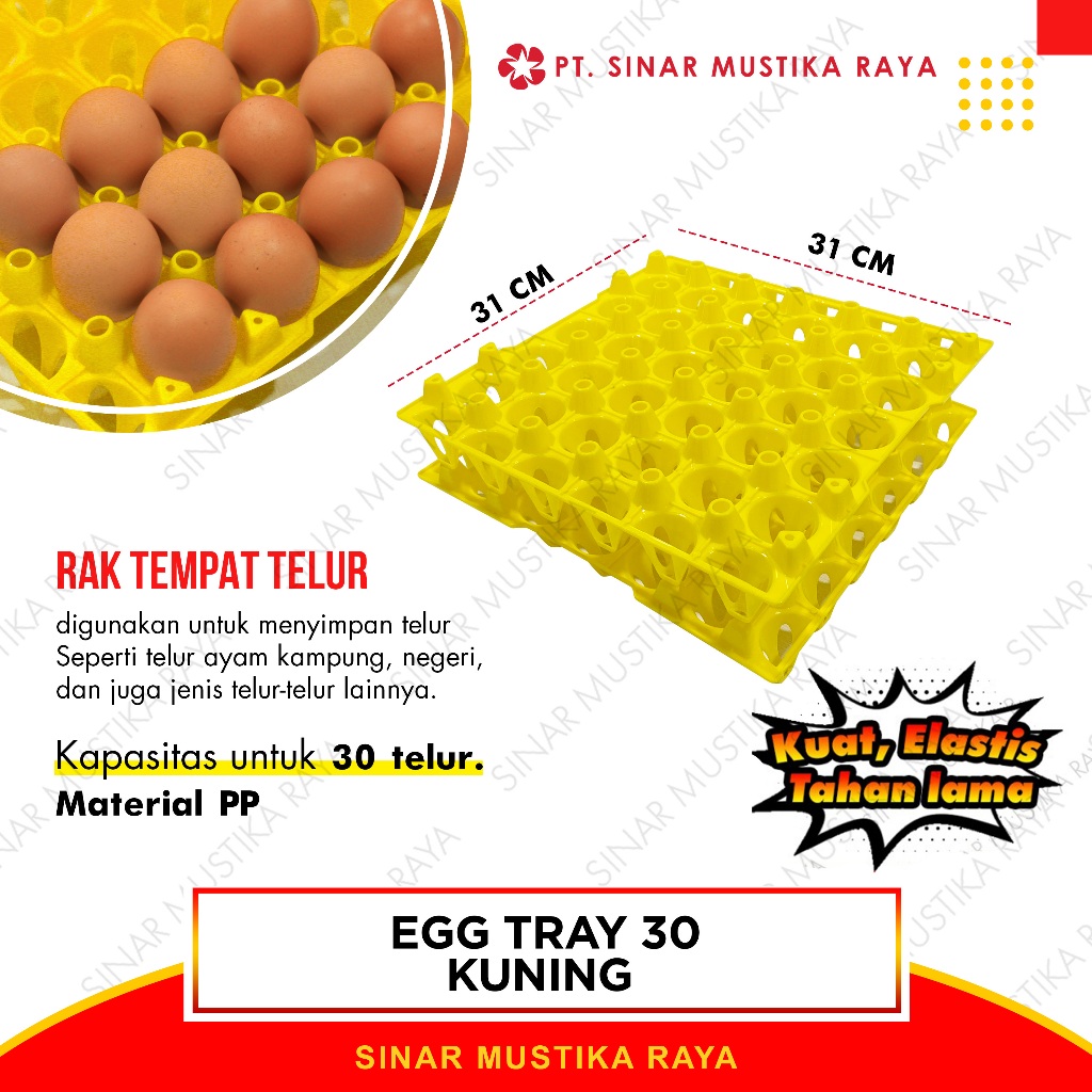 Jual 30 Butir Egg Tray Rak Telur 31 x 31 cm Nampan Tempat Telor Ayam ...