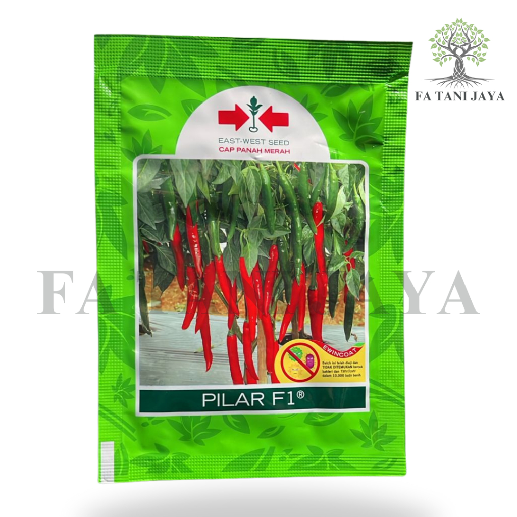 Jual Benih Cabe Pilar F1 10gr cap panah merah 3xp 2026 | Shopee Indonesia
