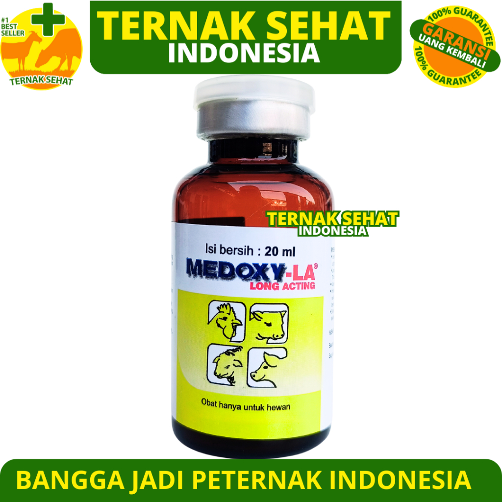 Jual MEDOXY LA 20 ml MEDION - Obat Hewan Spektrum Luas Long Acting ...