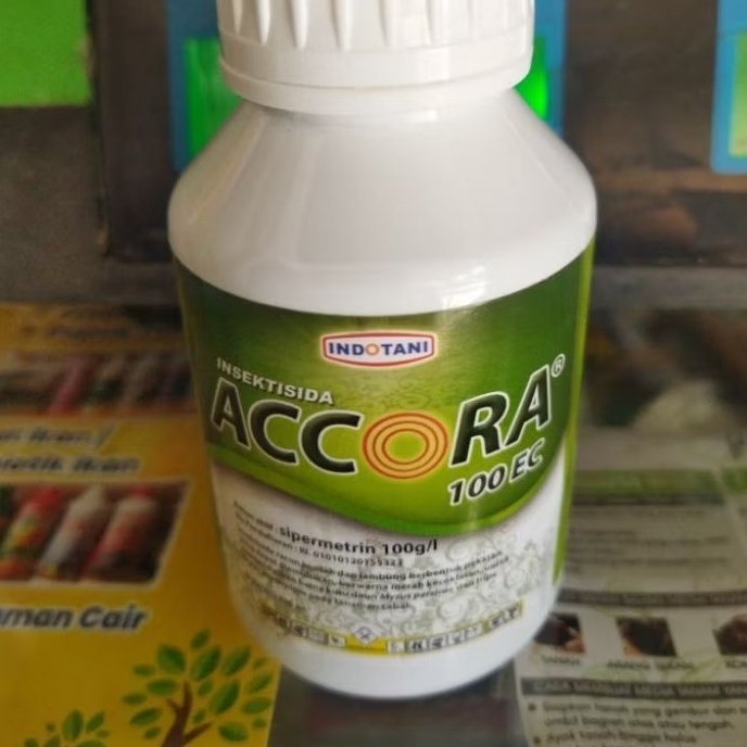 Jual insektisida ACCORA INDOTANI.100EC(100ml) | Shopee Indonesia