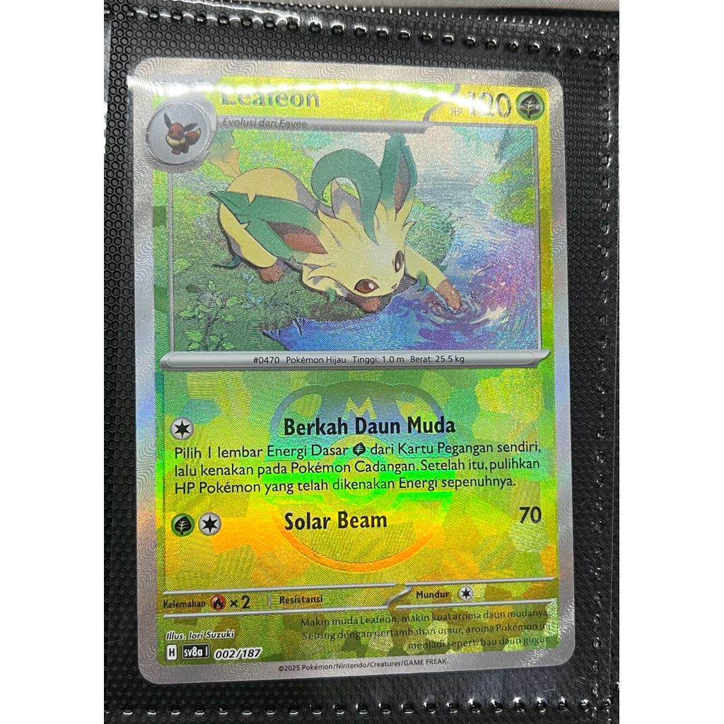 Jual Leafeon Master Ball TCG Pokemon | Shopee Indonesia