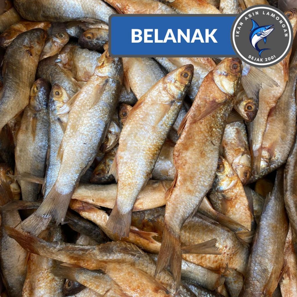 Jual Ikan Asin Lamongan Belanak Gerih Asin Berat 1kg | Shopee Indonesia