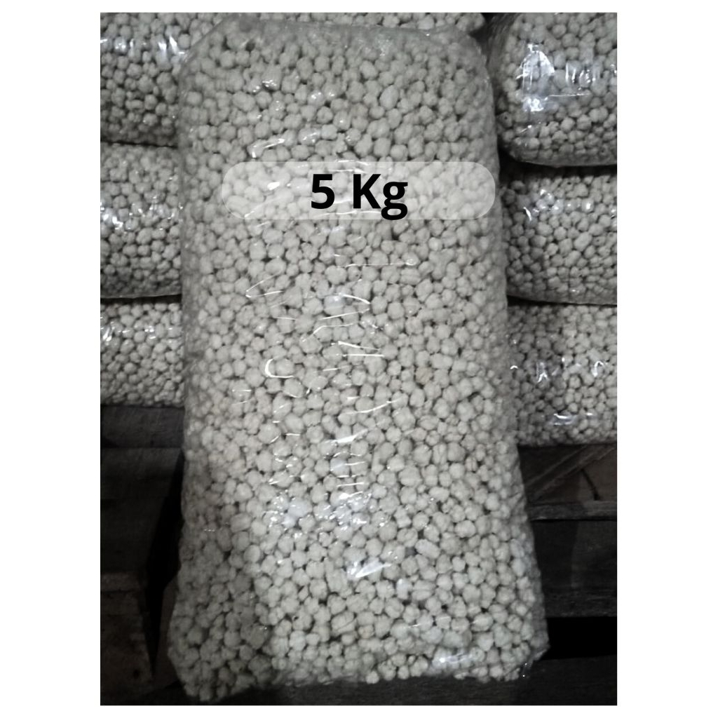 Jual PILUS KENCUR/TIKTAK CIKUR 5Kg | Shopee Indonesia