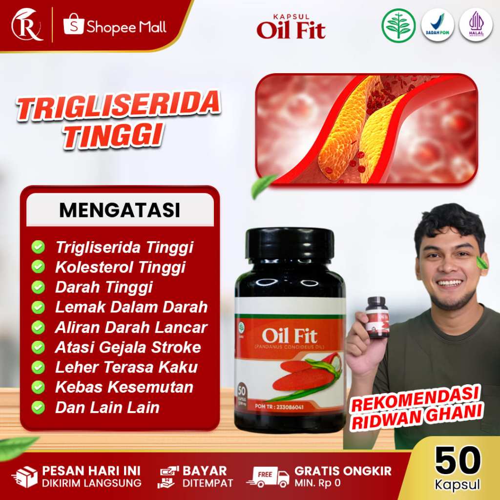 Jual OIL FIT Obat Penurun Trigliserida Kolesterol Tekanan Darah Tinggi ...