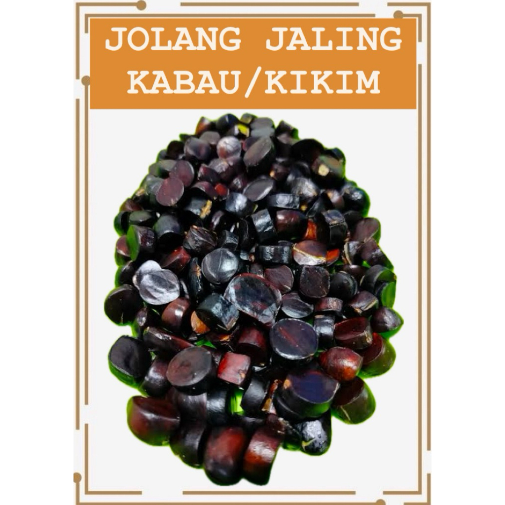 Jual KABAU/KIKIM JOLANG JALING KHAS PALEMBANG | Shopee Indonesia