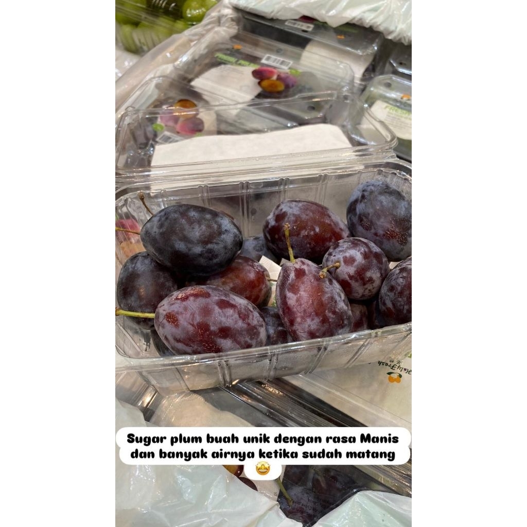 Jual Buah Plum Raja Buah Bandung | Shopee Indonesia