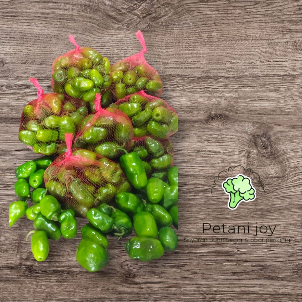 Jual cabe gendot 1kg super pedas (TERIMA PARTAI BESAR) | Shopee Indonesia