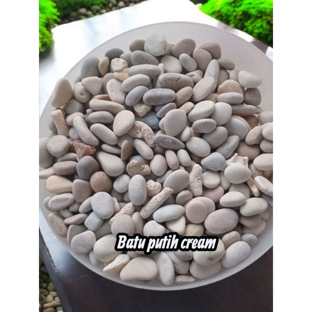 Jual 10kg batu krikil putih cream/Batu cream/batu alam/Batu hias ...