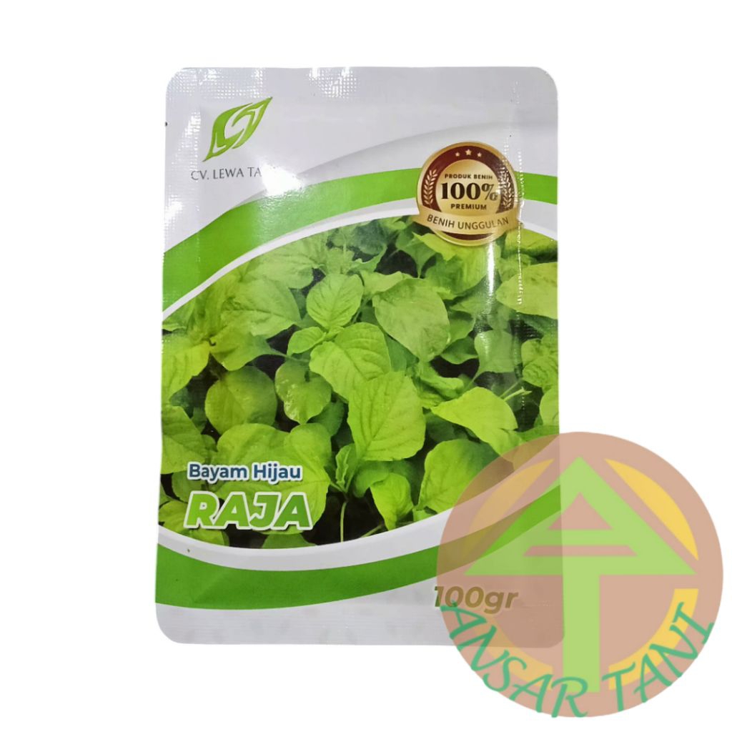 Jual Benih Bayam Putih RAJA (isi : 100 gram) CV. Lewa Tani | Shopee ...