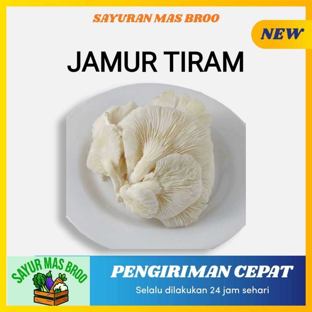 Jual Jamur Tiram - Sayuran Mas Broo Palembang | Shopee Indonesia