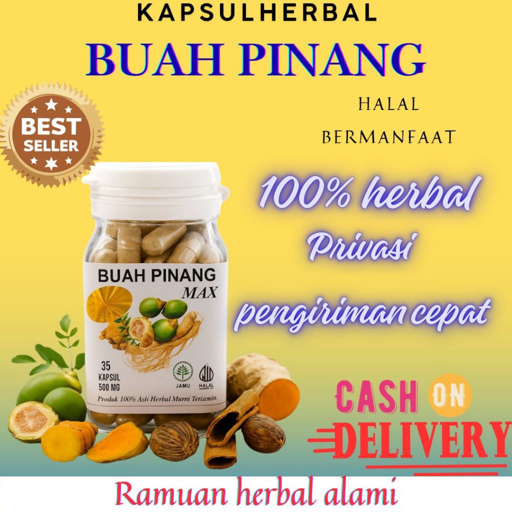 Jual Buah pinang kapsul obat herbal meningkatkan vitalitas pria anemia ...