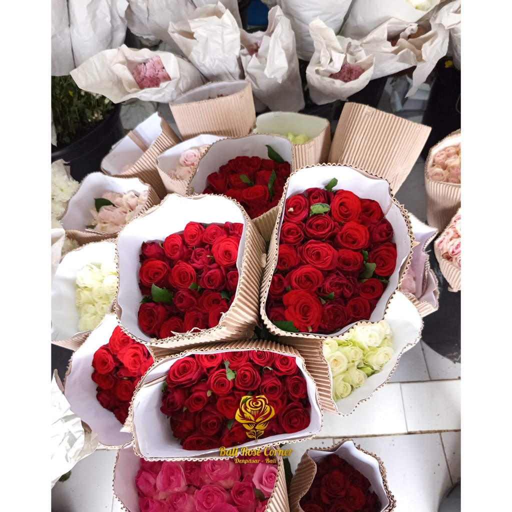 Jual Bunga Mawar Fresh - Avalanche Rose Grade C | Shopee Indonesia