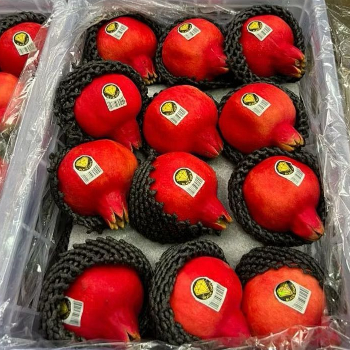 Jual Buah Delima Merah RRC Banyak Air 1 Box 6 Kg | Shopee Indonesia