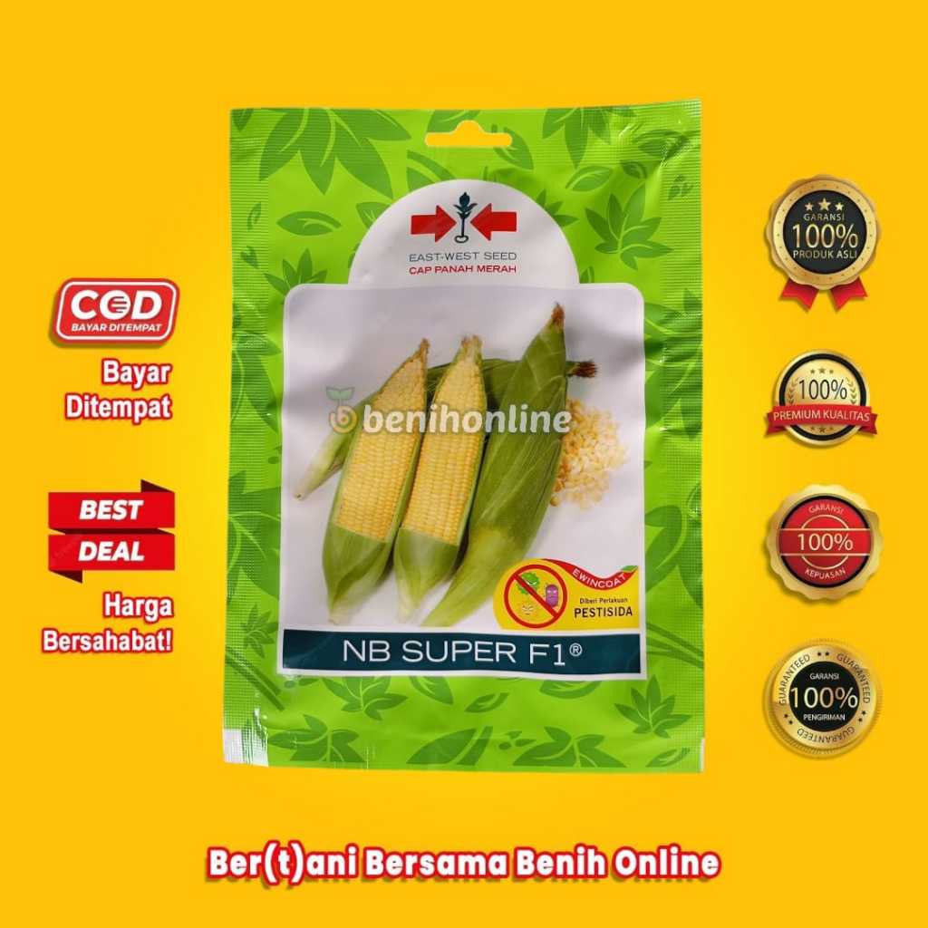 Jual NB SUPER F1 benih jagung 200 butir cap panah merah jagung hibrida ...