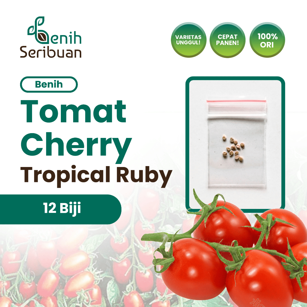 Jual Benih Seribuan - 12 Benih Sayuran Tomat Cherry Tropical Ruby F1 Hibrida | Shopee Indonesia