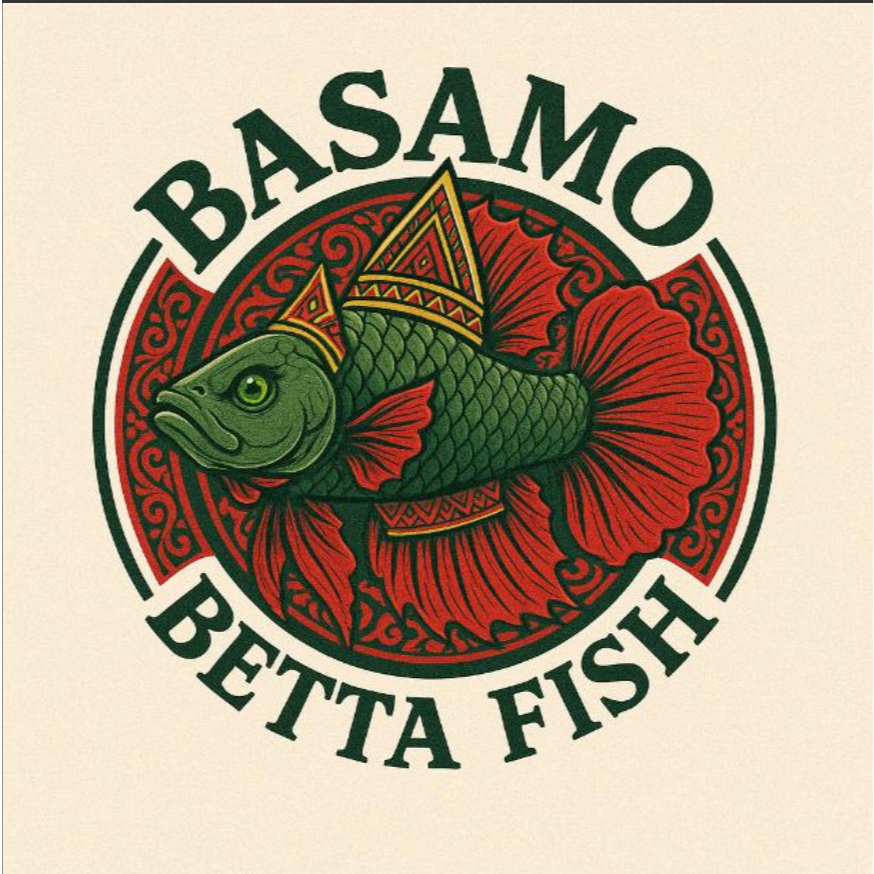 Jual Link CO Pembelian Live Basamo Betta Harga Bahanan Kualitas ...