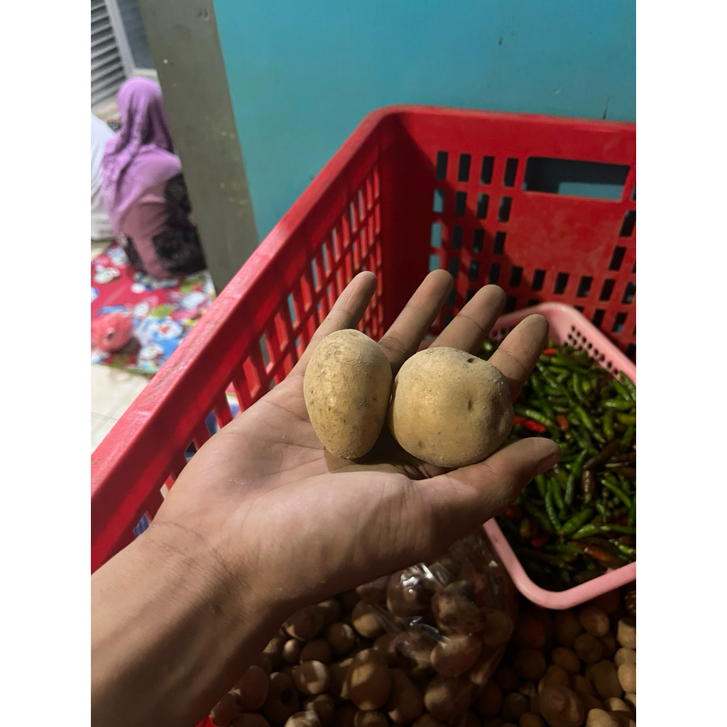 Jual kentang ukuran sedang 1 kg | Shopee Indonesia