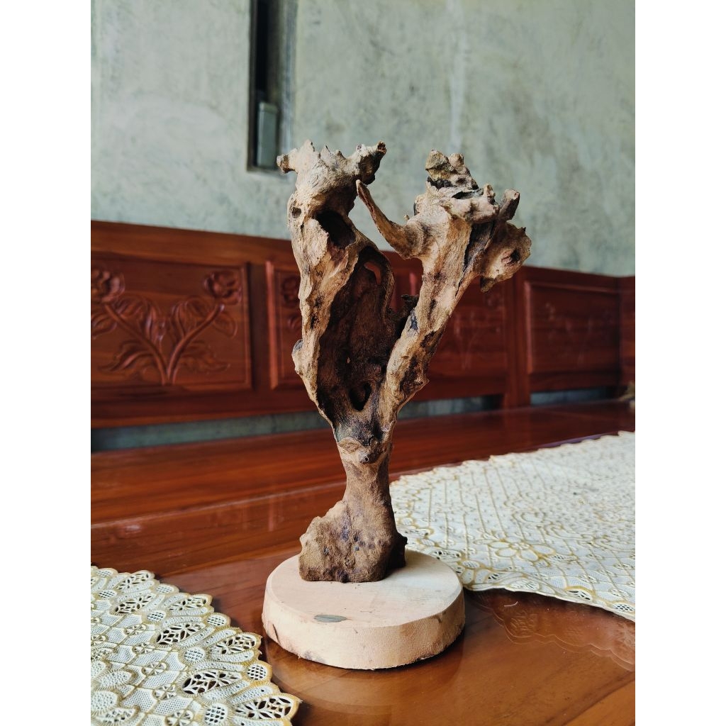 Jual KAYU FOSIL HIAS DUDUK, FOSIL TEMPEL dan MEDIA TANAM (MINI ...